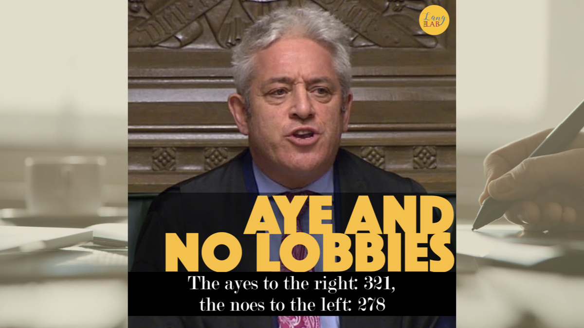 贊成 (Aye)？反對 (No)？ – The Languaging Lab | 香港翻譯校對服務